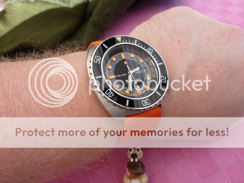 Felca ? Lets see them ! | WatchUSeek Watch Forums