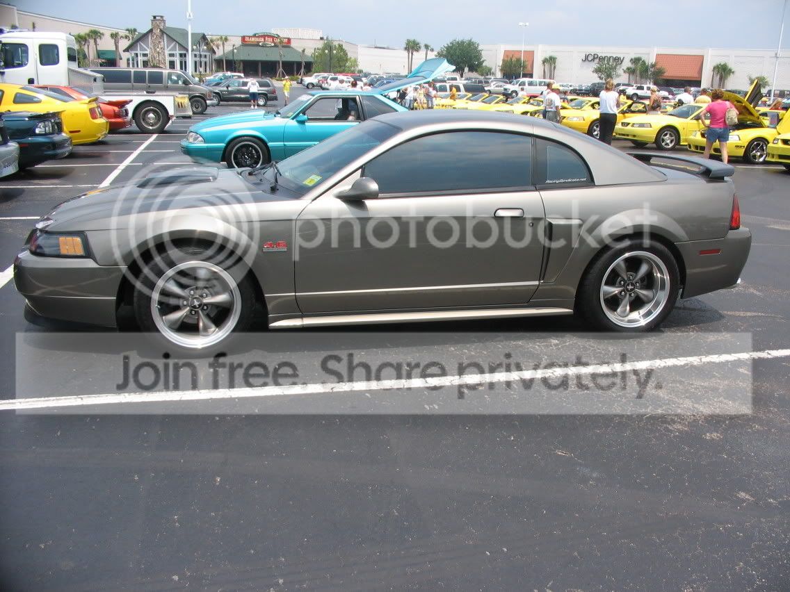 Auto Cross | Ford Mustang Forums